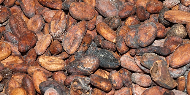 Cocoa Butter